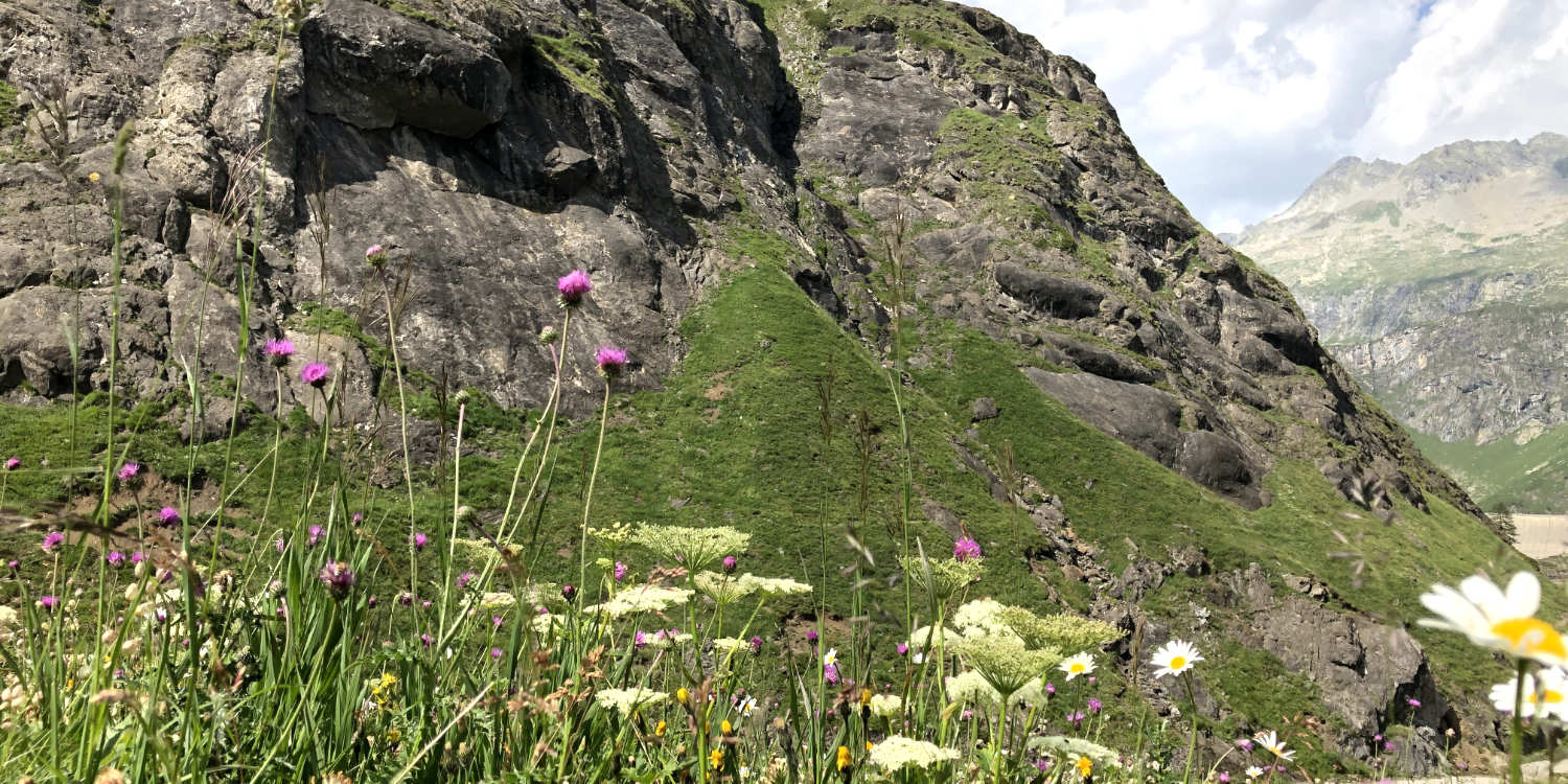 News details | Swiss Plant Science Web