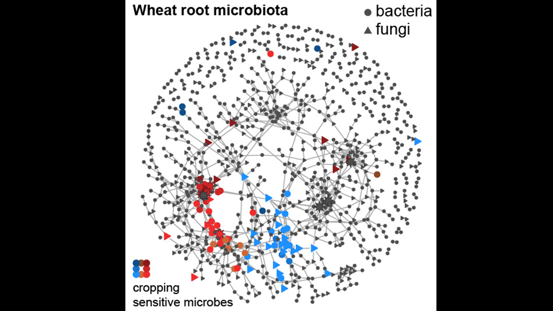 Schlaeppi Klaus | Swiss Plant Science Web